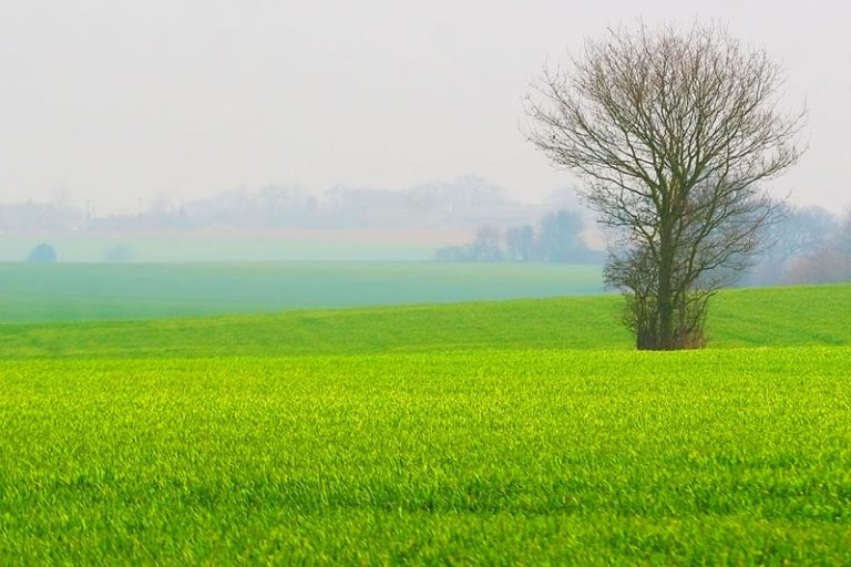 Wattisham Airfield – 23 / 05